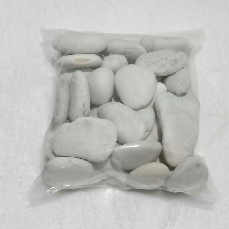 Jual batu coral putih hiasan taman 1kg | Shopee Indonesia