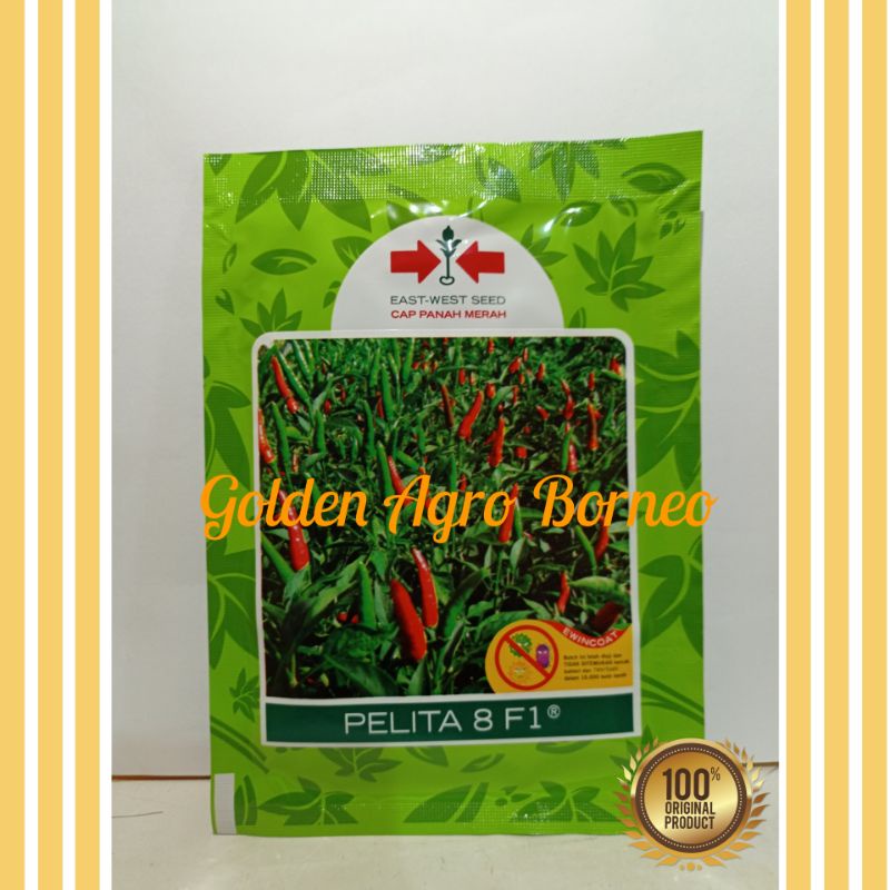 Jual BENIH BIBIT CABAI CABE RAWIT PELITA 8 F1 2250 BUTIR CAP PANAH ...