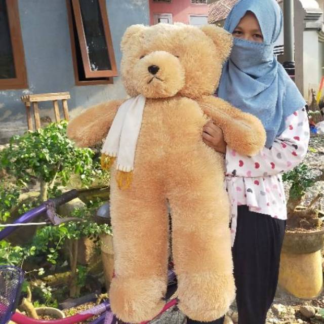 Jual Boneka beruang jutek/teddy bear/bear full bulu jumbo 1 meter ...