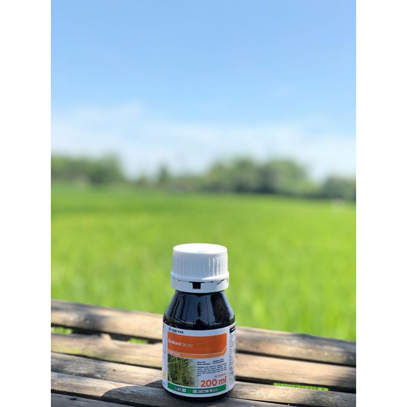 Jual ADAM TANI/ INSEKTISIDA ENDURE 130 SC / 200ML/ /CORTEVA | Shopee ...