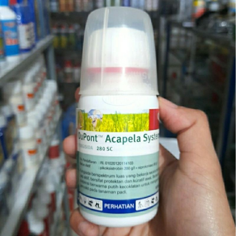 Jual dupont acapela system 100ml fungisida | Shopee Indonesia