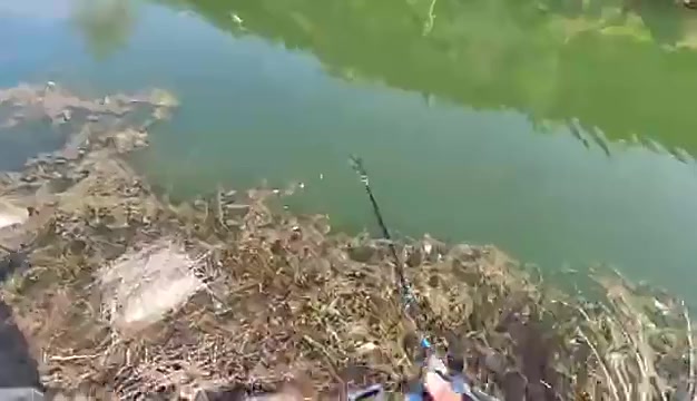 Jual Joran Pancing GhostHunter Lemoren UL MOYING III 3-6lb UltraLight Carbon Solid joran Spining ...