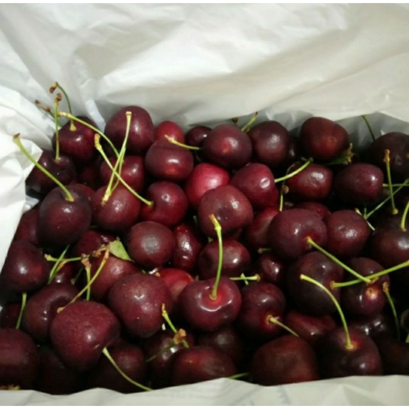 Jual Cherry merah Fresh Import | Buah Ceri Red | Buah Cherry Super 500 ...