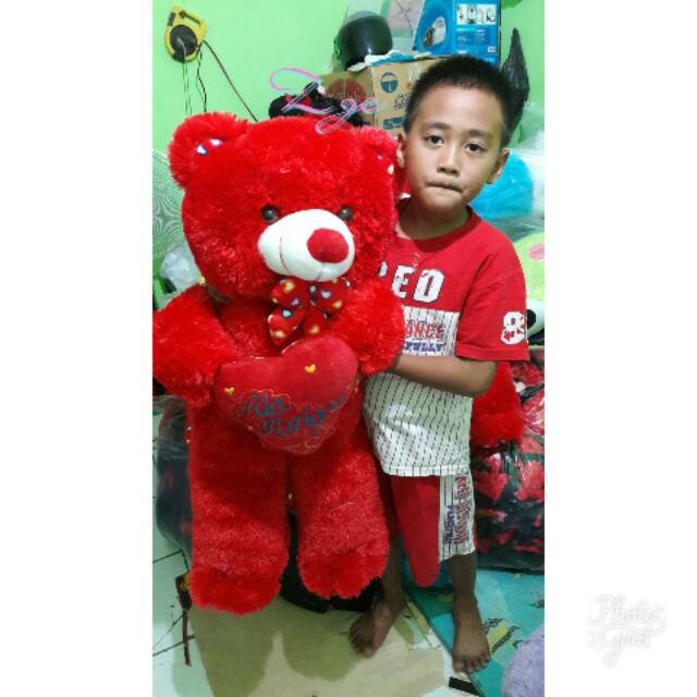 Jual BONEKA BAGUS ( MURAH ) TEDDY BEAR JUMBO XL ( GRATIS UKIR NAMA ...