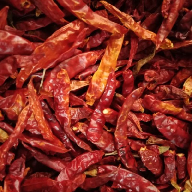 Jual cabe kering japlak | Shopee Indonesia