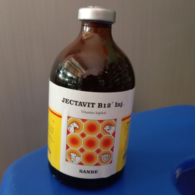 Jual Jectavit B12 Inj. 100 ml Vitamin B12 Injeksi | Shopee Indonesia