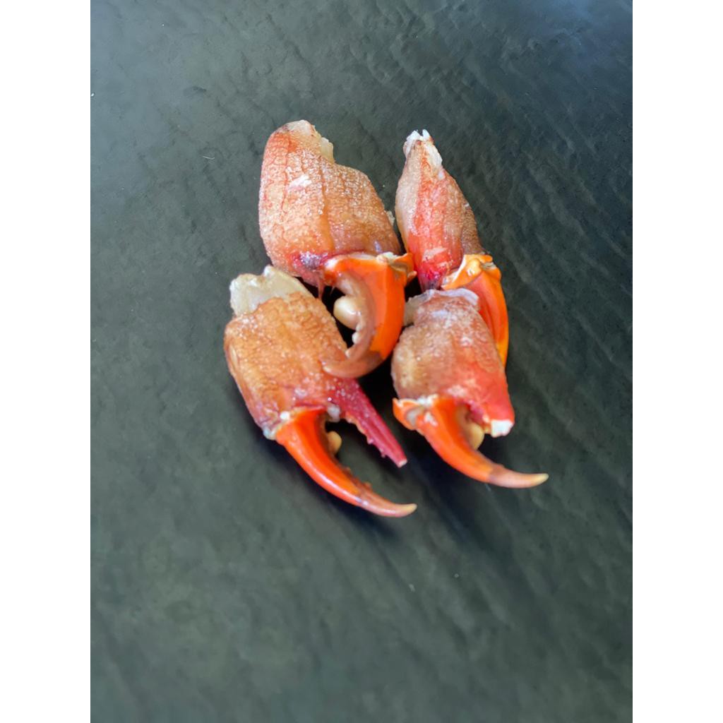 Jual Capit Kepiting | Shopee Indonesia