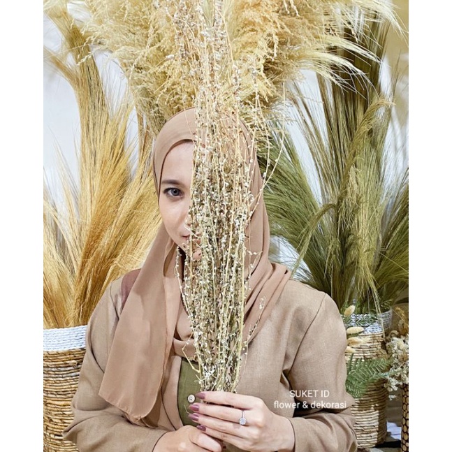 Jual Flower Sakura Java / Bunga Sakura Jawa | Shopee Indonesia