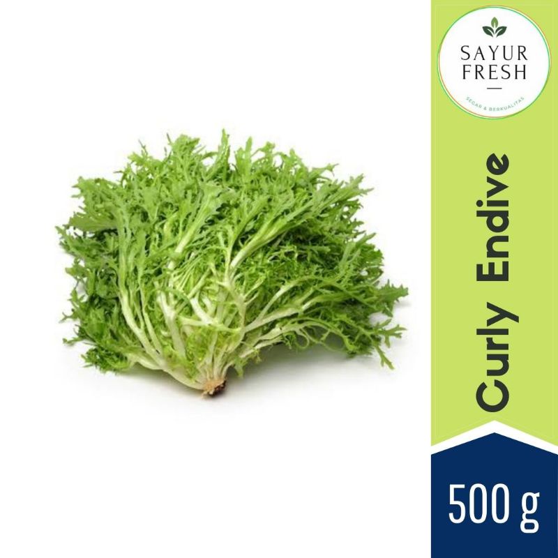 Jual Selada endive 500 g | Shopee Indonesia