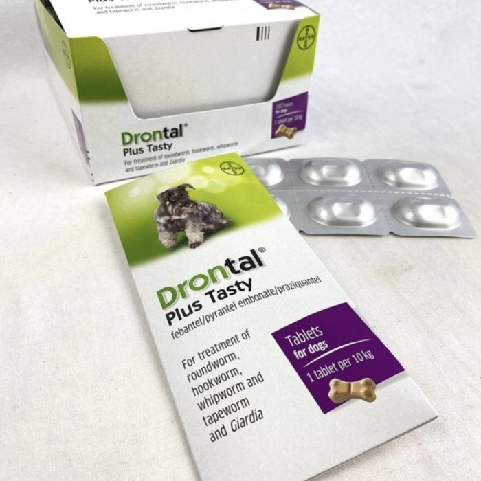 Jual Hills Bayer Drontal Plus Dog (Tasty) | Shopee Indonesia