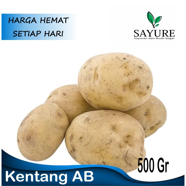 Jual KENTANG DIENG SUPER GRADE AB 500 GR | Shopee Indonesia