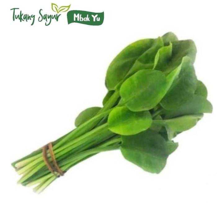 Jual Genjer - sayur genjer 1 ikat | Shopee Indonesia