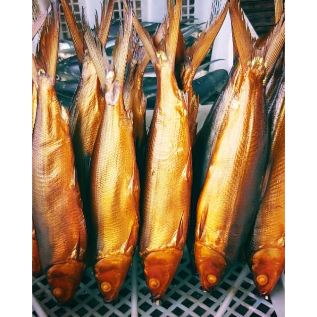 Jual BANDENG ASAP KHAS SIDOARJO "dapoerbuatin88" | Shopee Indonesia