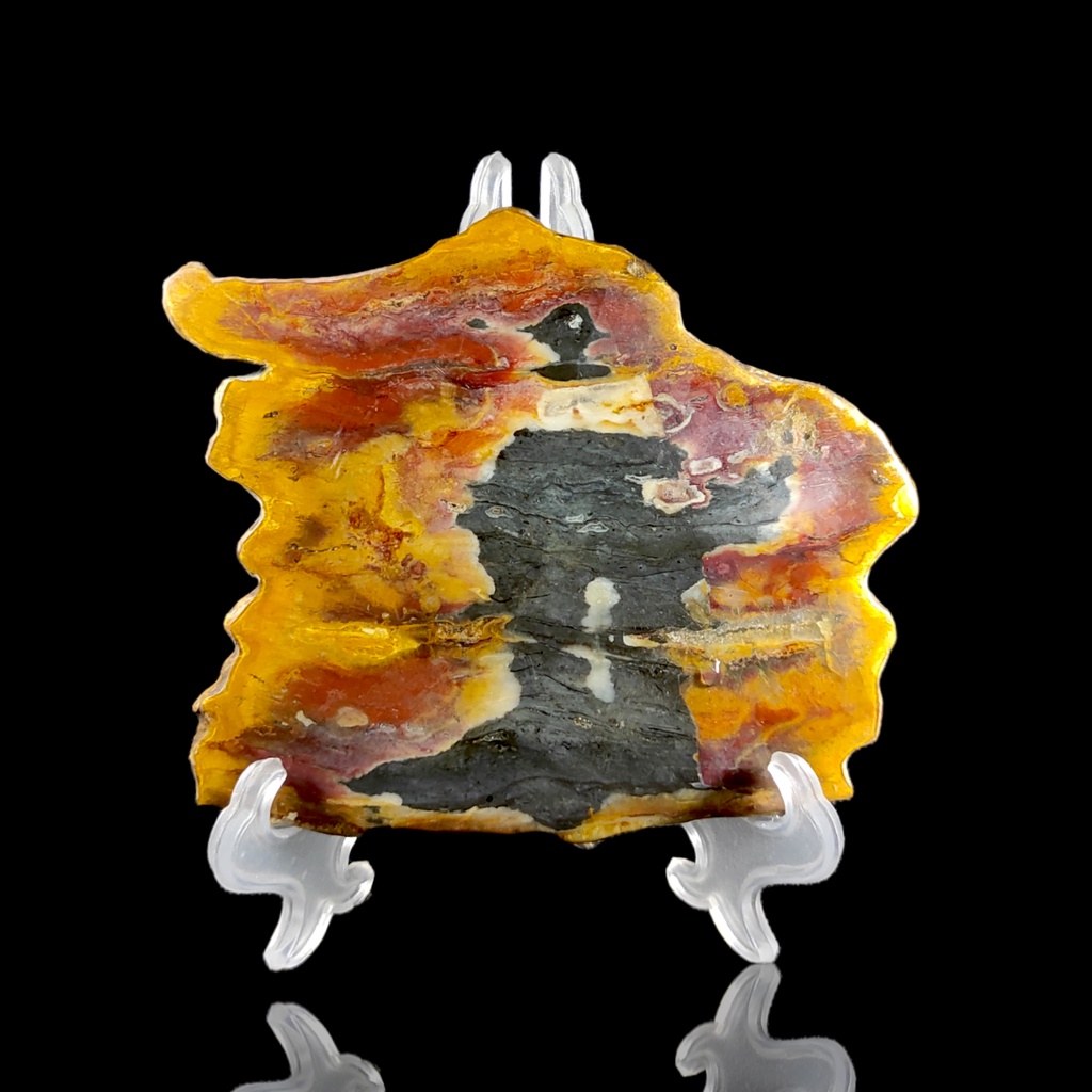 Jual 179GR Natural Slice Picture Petrified Wood - Slice Fosil Kayu ...