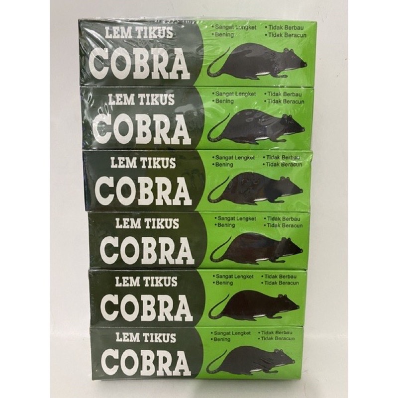 Jual LEM TIKUS COBRA - ORIGINAL / lem tikus premium 1pc | Shopee Indonesia