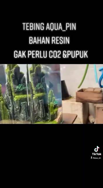 Jual Aquarium Aquascape Paket Komplit Gak Perlu Co2, Pupuk bisa buat ... Jual Aquarium Aquascape Paket Komplit Gak Perlu Co2, Pupuk bisa buat ...
