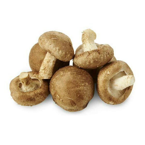 Jual Jamur Shitake Fresh / hioko / huaku segar | Shopee Indonesia