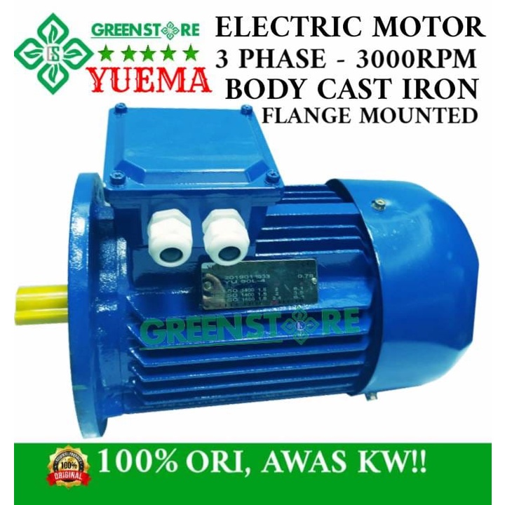 Jual YUEMA YU 4KW/5.5HP/2POLE/3000RPM/3PHASE/B5 FLANGE MOUNTED CAST IRON ELECTRIC MOTOR | Shopee ...
