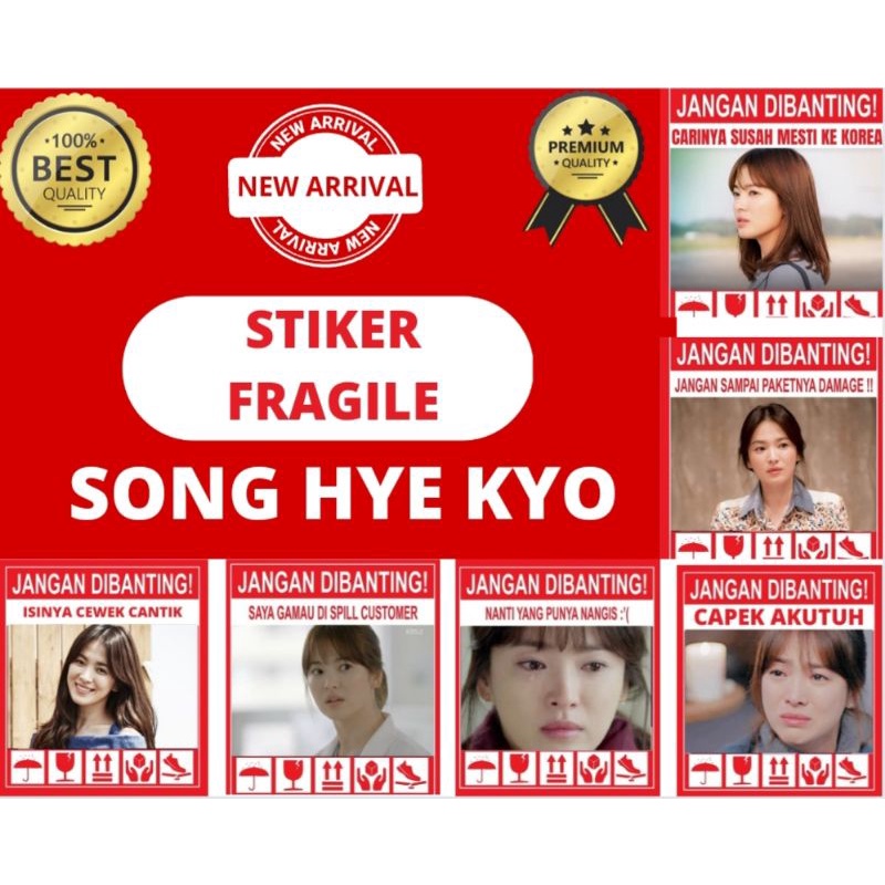 Jual (READY STOK)Stiker Fragile K-POP Song Hye Kyo | Stiker Fragile ...