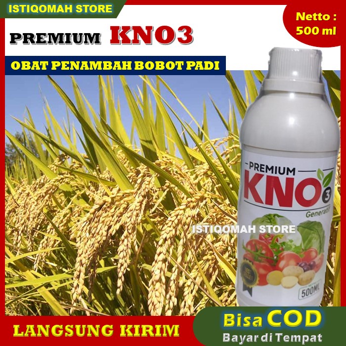 Jual PREMIUM KNO3 500ML Obat Pengisian Bulir Padi - Obat Bulir Buah Padi - Obat Padi Obat Buah ...