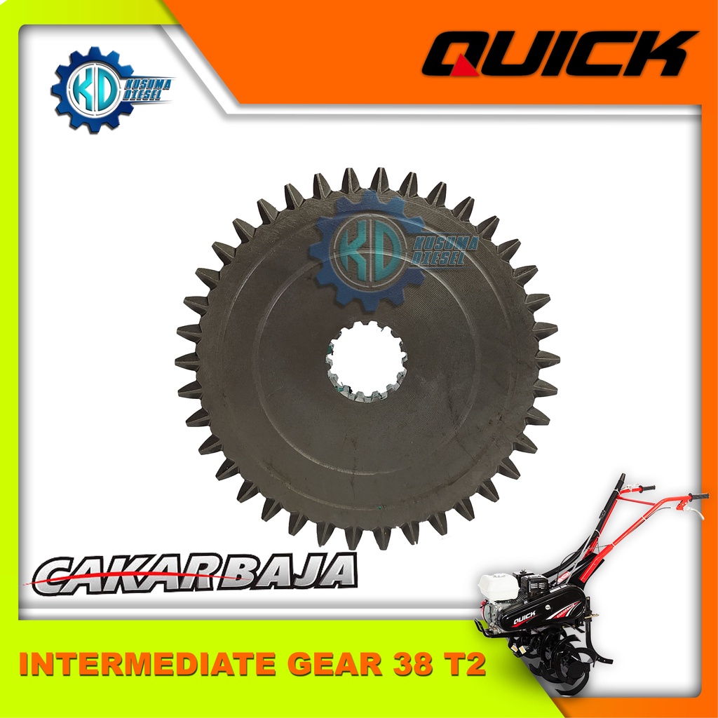 Jual INTERMEDIATE GEAR 38T2, CAKAR BAJA (SP) - GEAR CAKAR BAJA ...