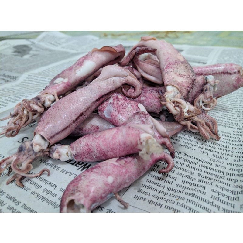 Jual Asin Cumi Telor (Baby Cumi) 1/2kg | Shopee Indonesia