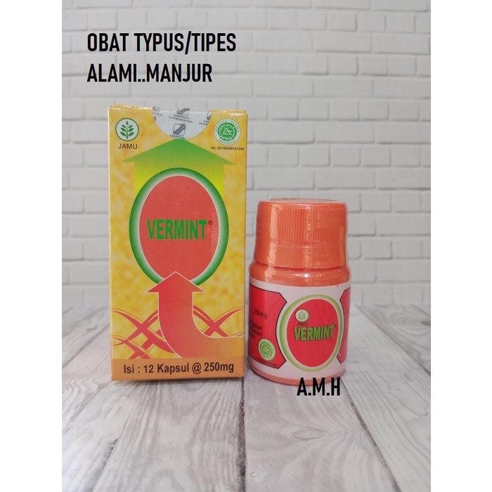 Jual VERMINT isi 12 kapsul obat typus alami | Shopee Indonesia