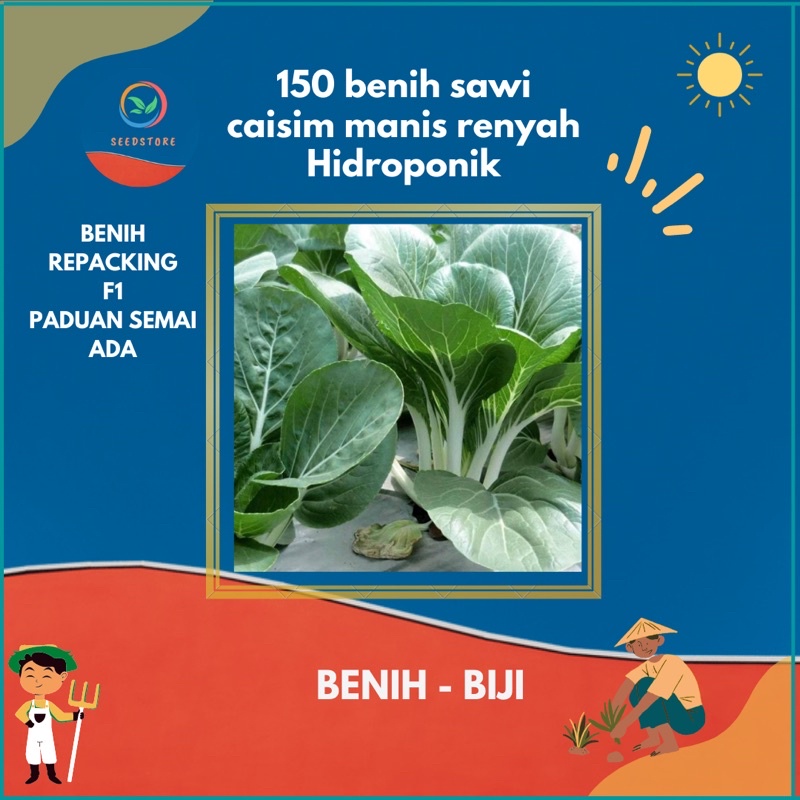 Jual 150 benih sawi caisim manis renyah Hidroponik | Shopee Indonesia