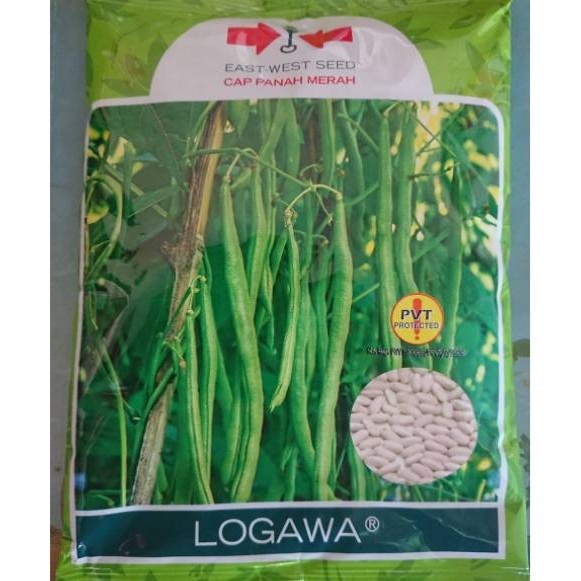 Jual Benih Buncis LOGAWA 500 gram Cap Panah Merah | Shopee Indonesia