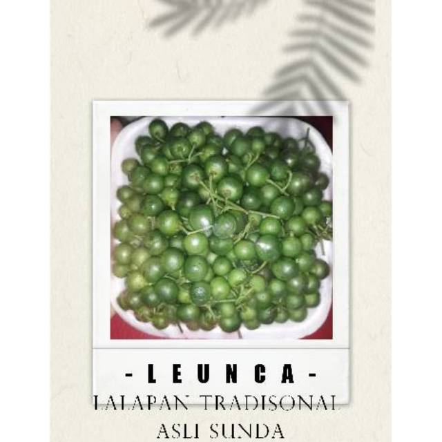 Jual STOCK TERBATAS !!! LALAPAN SAYUR "LEUNCA" PACK 120g (KHAS SUNDA ...