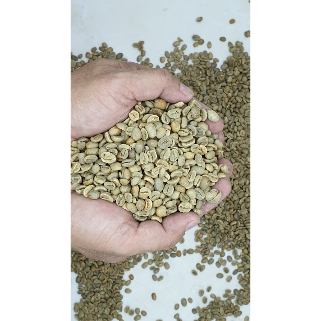 Jual Kopi Arabika Green Bean Talamau Natural 1kg Grade 1 Biji Kopi ...