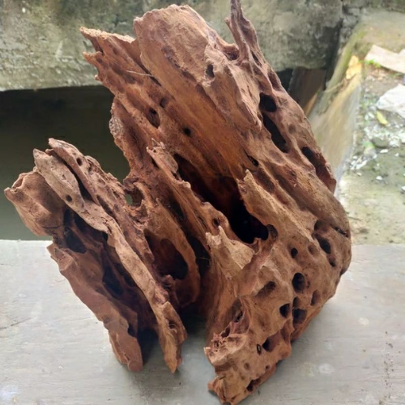 Jual Kayu rentek aquascape tenggelam | Shopee Indonesia