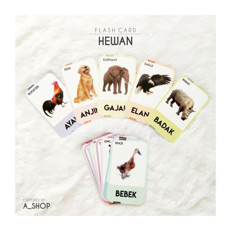 Jual Flashcard Hewan English Indonesia | Shopee Indonesia