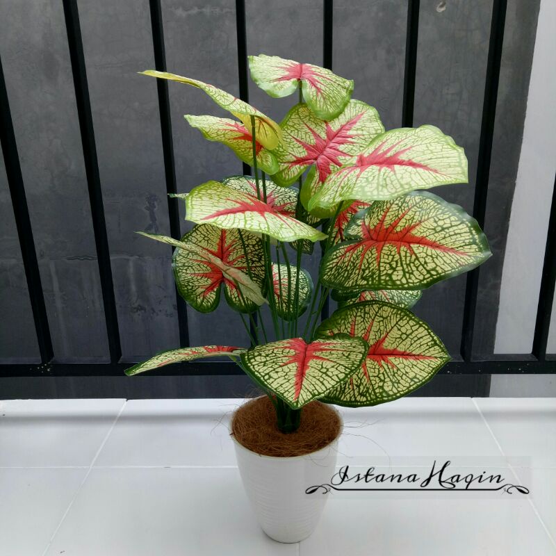 Jual Tanaman Keladi Artificial plus pot | Shopee Indonesia