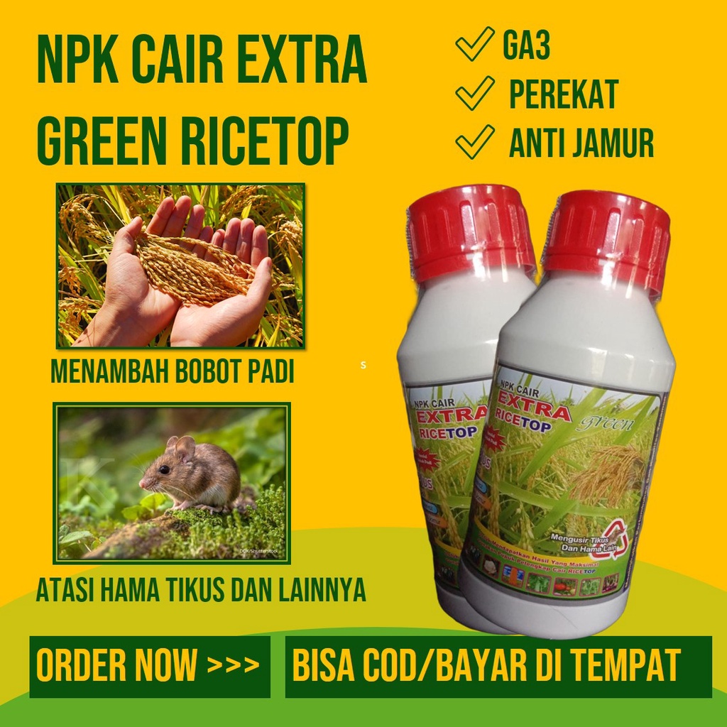 Jual (BOOSTER PADI) Pupuk Pelebat Padi Penambah Bobot Padi Besar dan Berat - RICETOP Extra ...