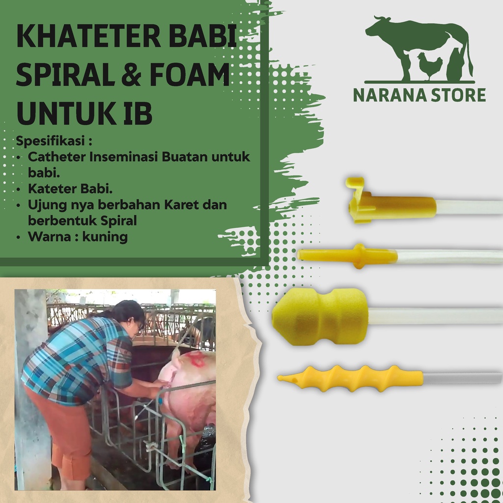 Jual Kateter Alat inseminasi Buatan Untuk Babi Chateter Pig Spiral dan ...
