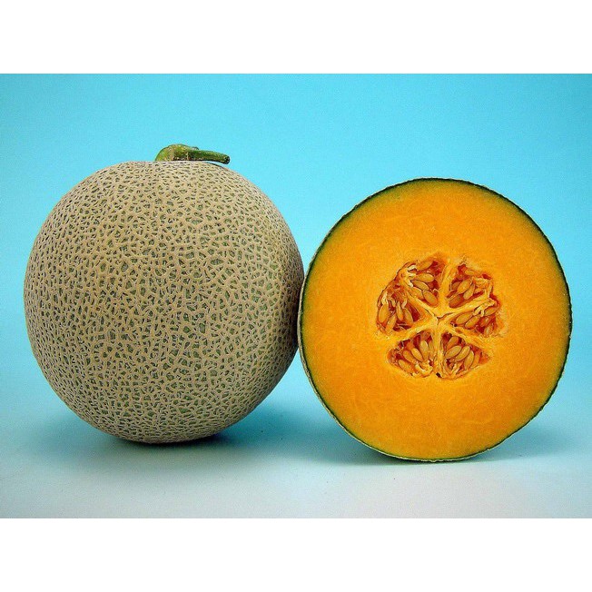 Jual 2 biji benih Buah Melon bangkok bulat daging orange F1 import ...
