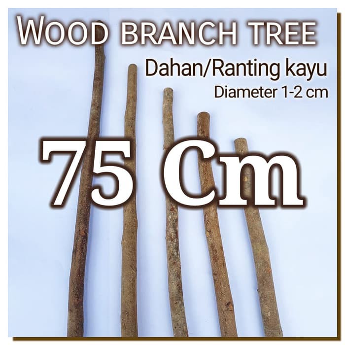 Jual SangKayu Wood Branch Tree 1-2x75 cm Dahan Kayu Potongan Kayu Bahan ...