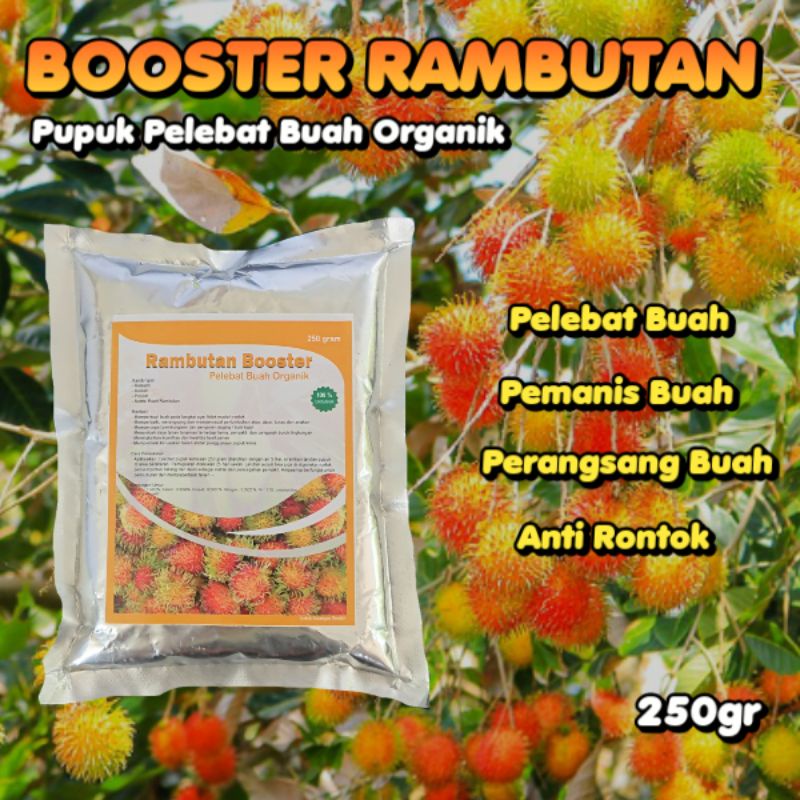 Jual booster rambutan pupuk organik rambutan memacu buah dan memperlebat buah | Shopee Indonesia