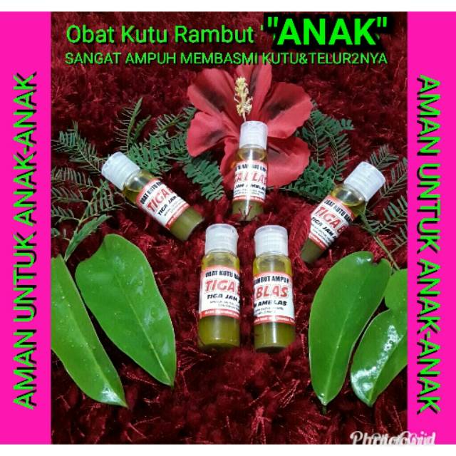 Jual OBAT KUTU RAMBUT SUPER | Shopee Indonesia