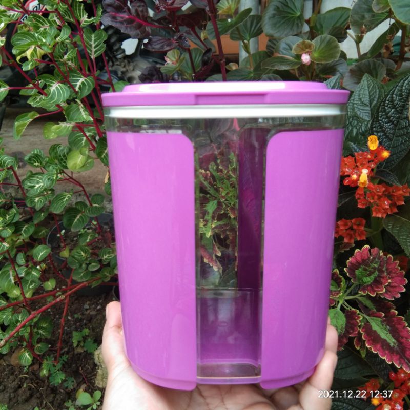 Jual window canister 1,5 liter | Shopee Indonesia