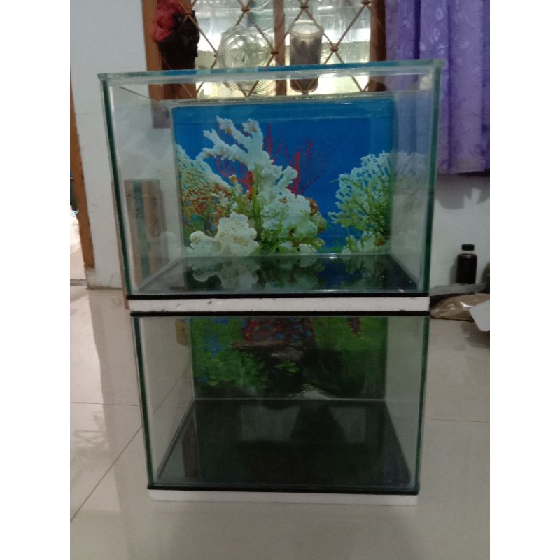 Jual Aquarium kaca 30x20x20 | Shopee Indonesia