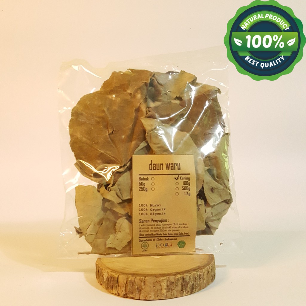Jual DAUN WARU COASTAL COTTOOWOOD FANU BARU HARU KERING SIMPLISIA DRI ...