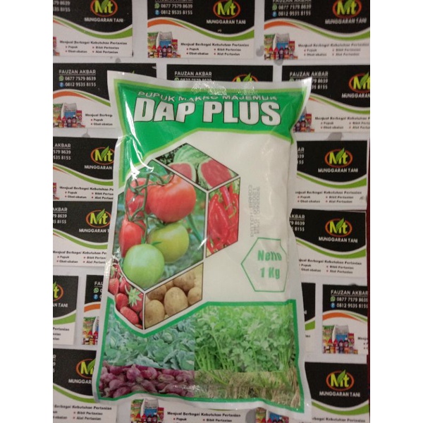 Jual MEMPERCEPAT PERTUMBUHAN TANAMAN / PUPUK DAP PLUS 1 KG.. | Shopee ...