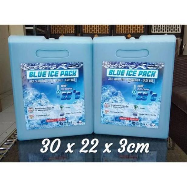 Jual 3cm Ice Besar Ice Pak Pack x 30 Blue Jumbo 22 Ice x Pack | Shopee ...
