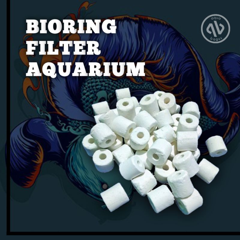 Jual BIORING MEDIA FILTER AQUARIUM | BIO RING FILTER KOLAM | BIO ...