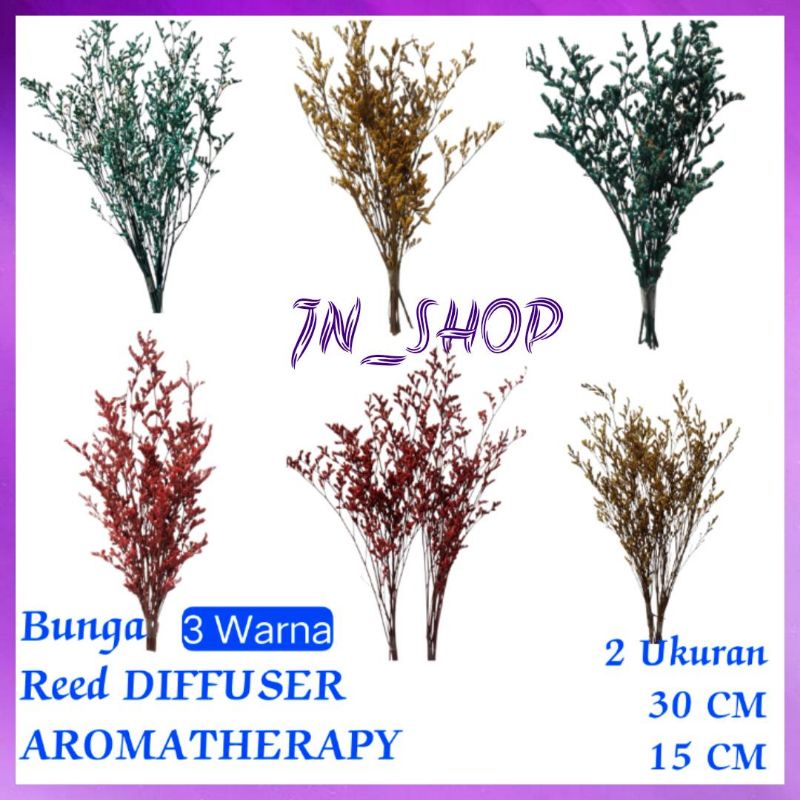 Jual Bunga Kering Asli Untuk Aromatherapi Reed Diffuser Pewangi Ruangan ...