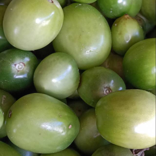 Jual Tomat Ijo 1/2 kg (Beli sekilo lebih hemat) | Shopee Indonesia