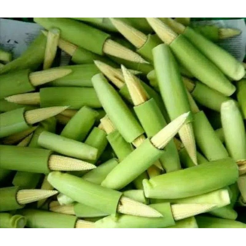 Jual Jangung Putren | Shopee Indonesia