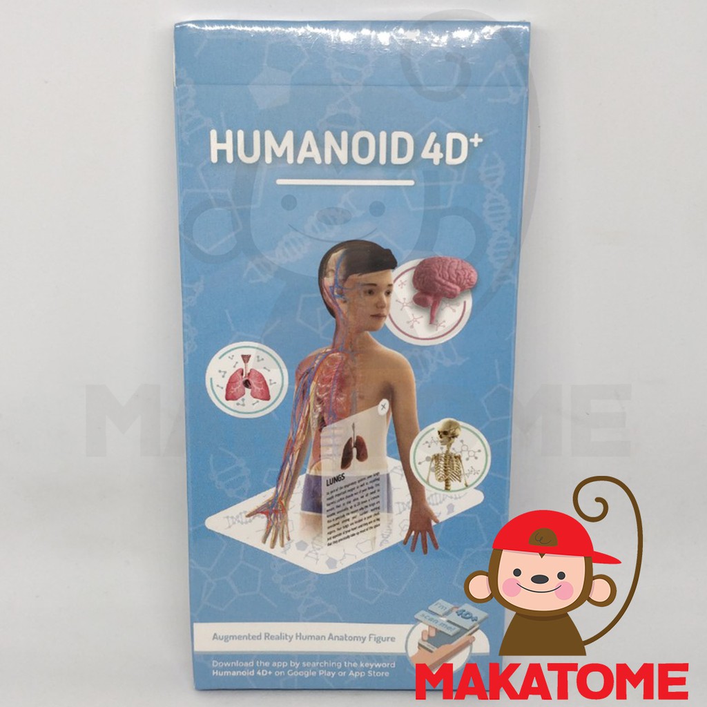 Jual Octagon 4D+ Augmented Reality Flashcard HUMANOID human organ cards ...